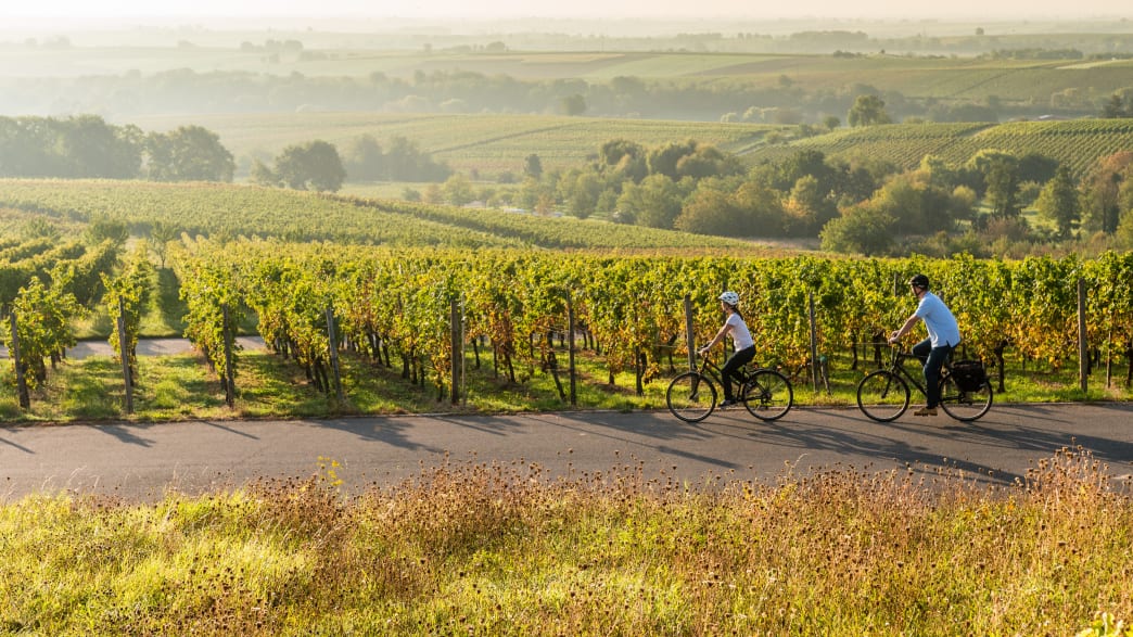 Deutsche Weinstraße: Routen und Karten | ADAC