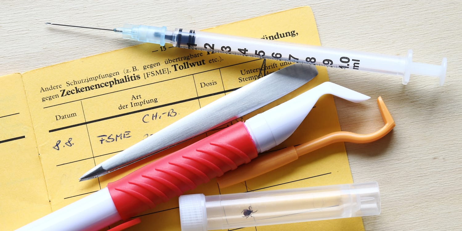 FSME: Risikogebiete, Symptome, Impfung und Behandlung