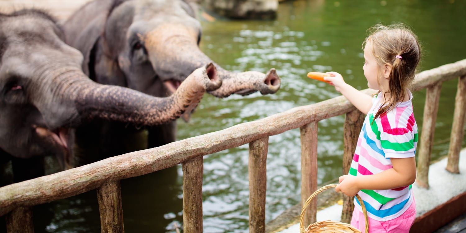 Schönste Zoos in Deutschland: Diese 11 Tierparks sind besonders sehenswert