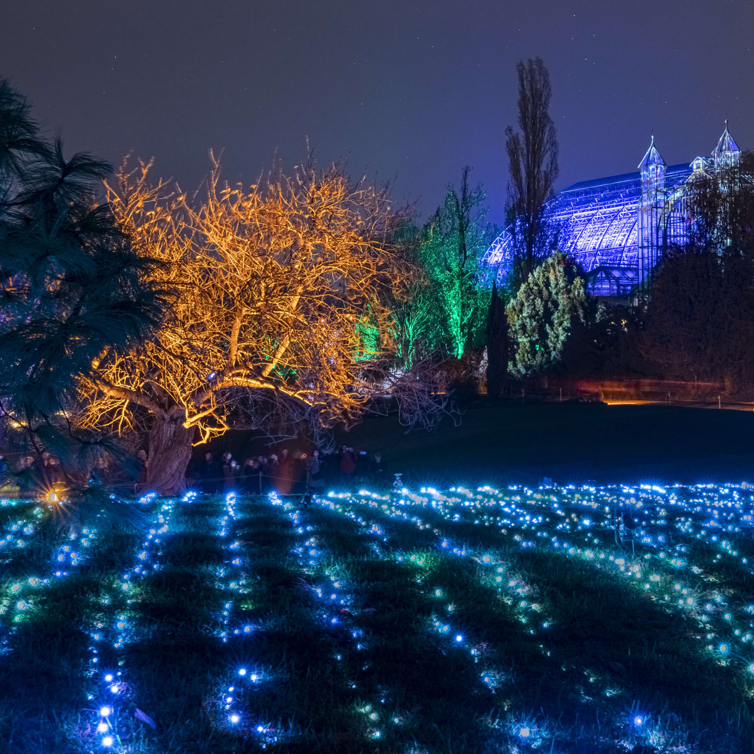 Die schönsten Lichterfeste | ADAC
