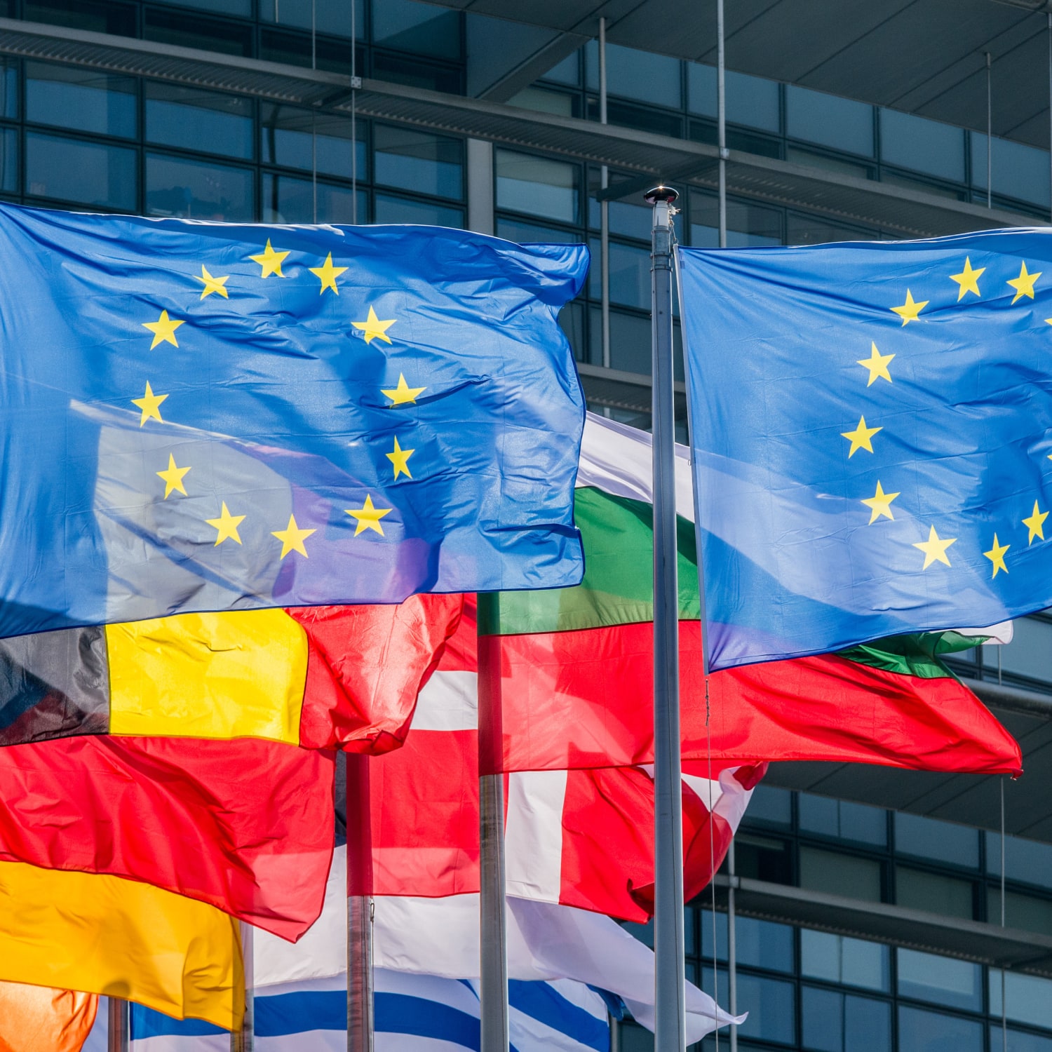 Reimport – Alles Wichtige zum Autokauf in der EU | ADAC